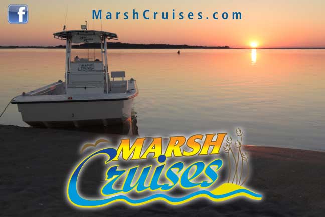 Marsh Cruises